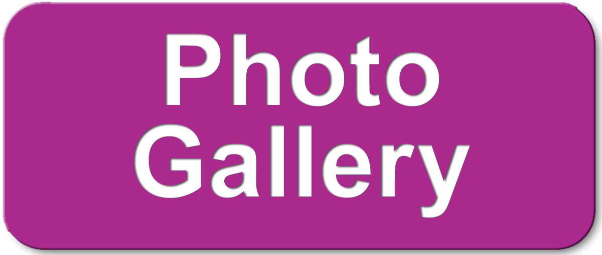 Launch Showcase - Launch Showcase % %Launch Showcase | It All Starts Now!